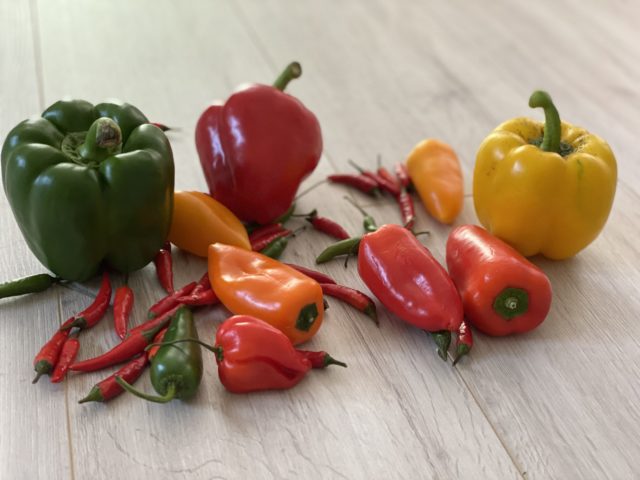 Schärfe von Chili - Sorten und die Scoville-Skala