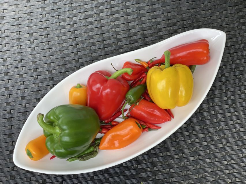 Schärfe von Chili - Sorten und die Scoville-Skala